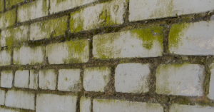 How to Stop Mould from Growing on Brick - Basildon Stone